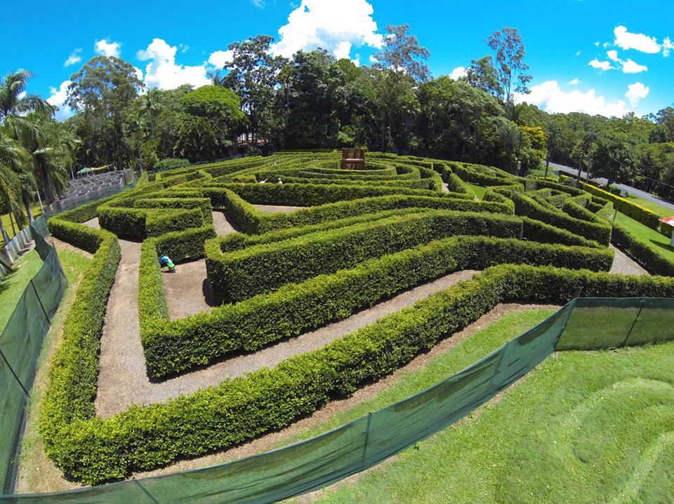 Find Your Way Through Bellingham Maze, A Fun Day Out for the Family ...